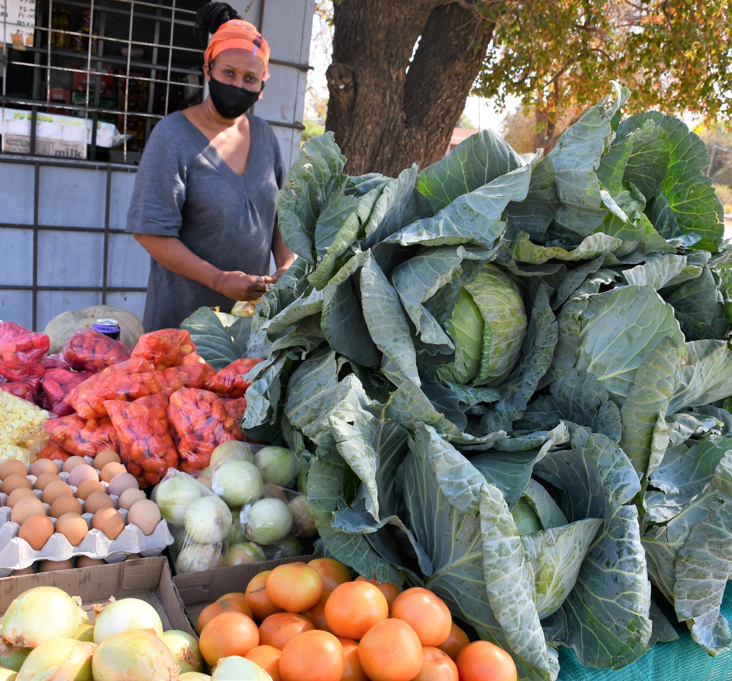 Government Outlines Strategies to Support and Protect Informal Sector ...